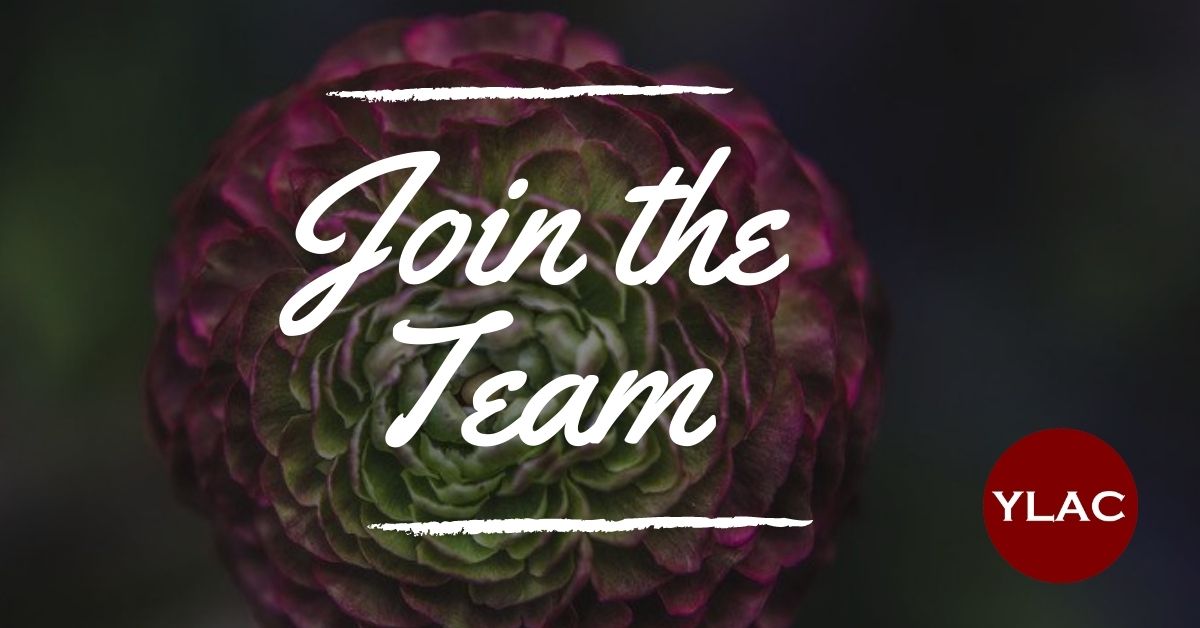 Join the team - Young Leaders for Active Citizenship